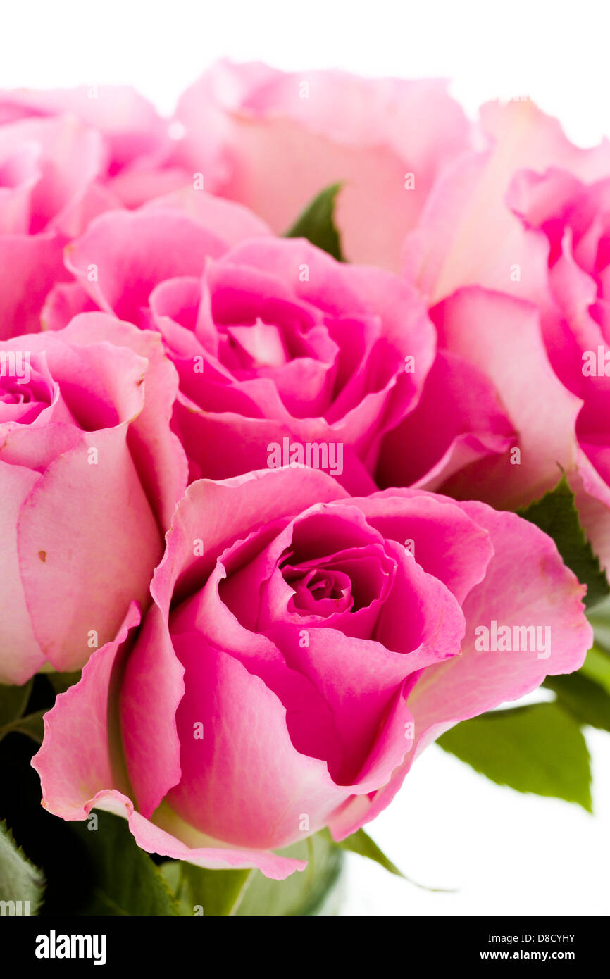 Small bouquet of fresh pink roses Stock Photo - Alamy