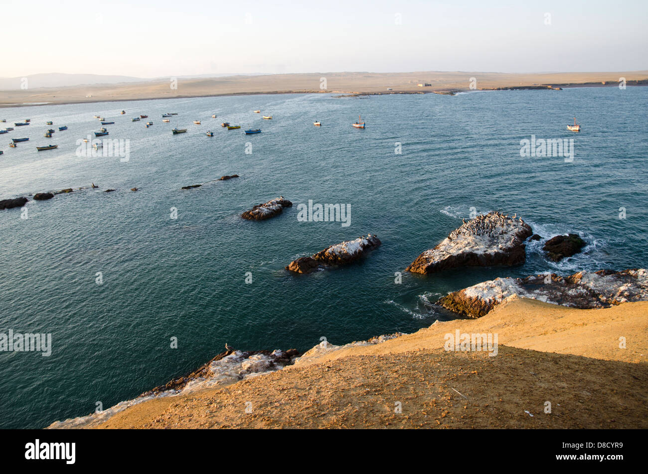 Paracas nature reserve hi-res stock photography and images - Alamy