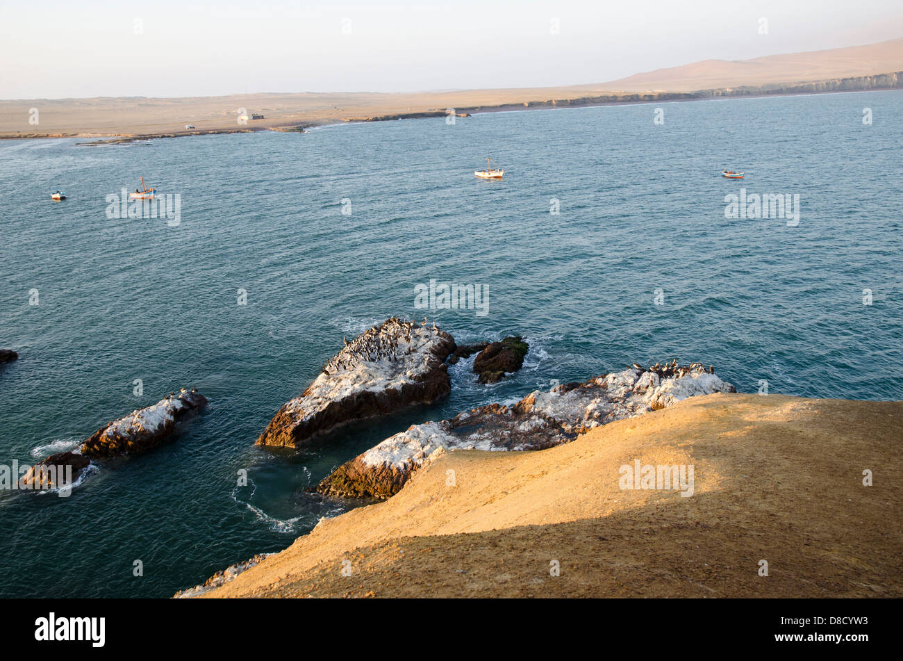 Paracas National Reserve. Lagunilla beach Stock Photo - Alamy