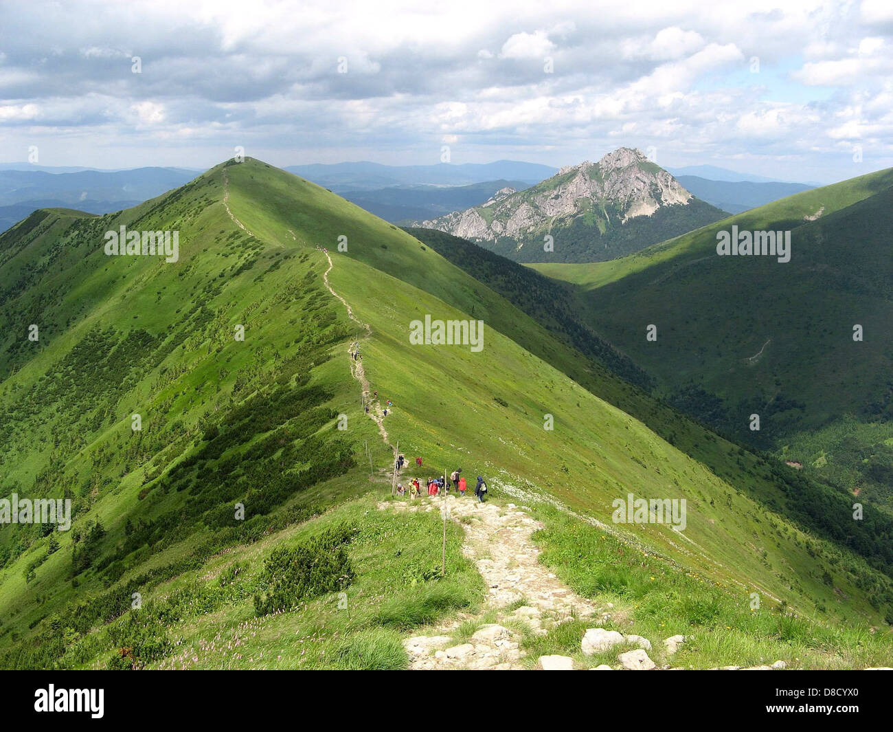 Stock edge hi-res stock photography and images - Alamy