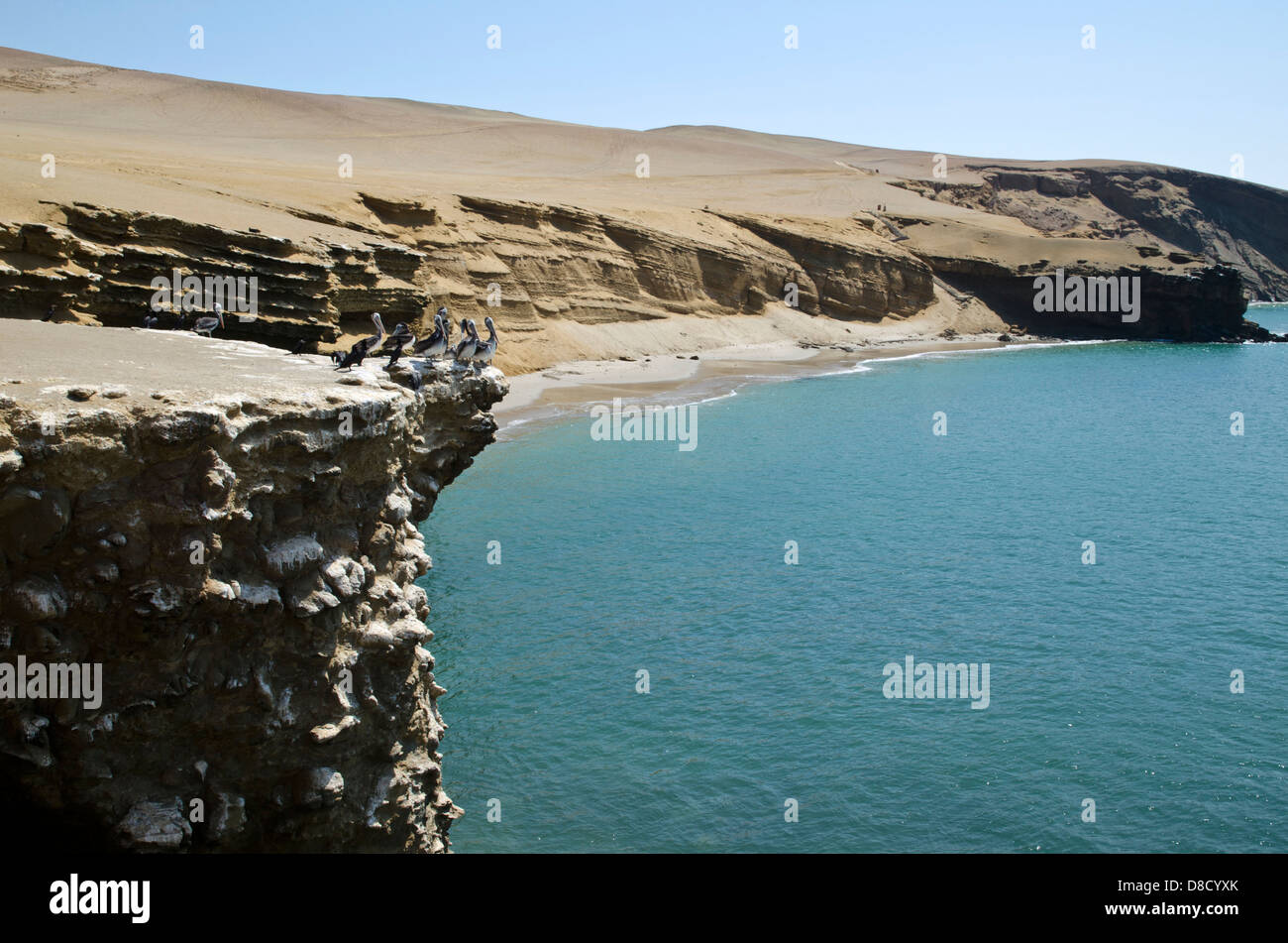 Paracas National reserve. Paracas peninsula Stock Photo - Alamy