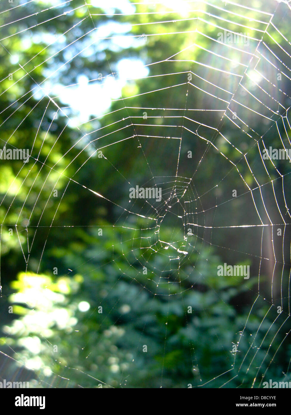 Beautiful web hi-res stock photography and images - Alamy