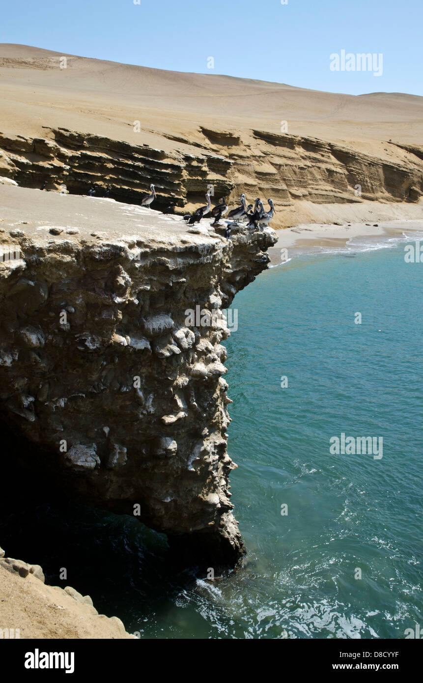 Paracas National reserve. Paracas peninsula Stock Photo - Alamy
