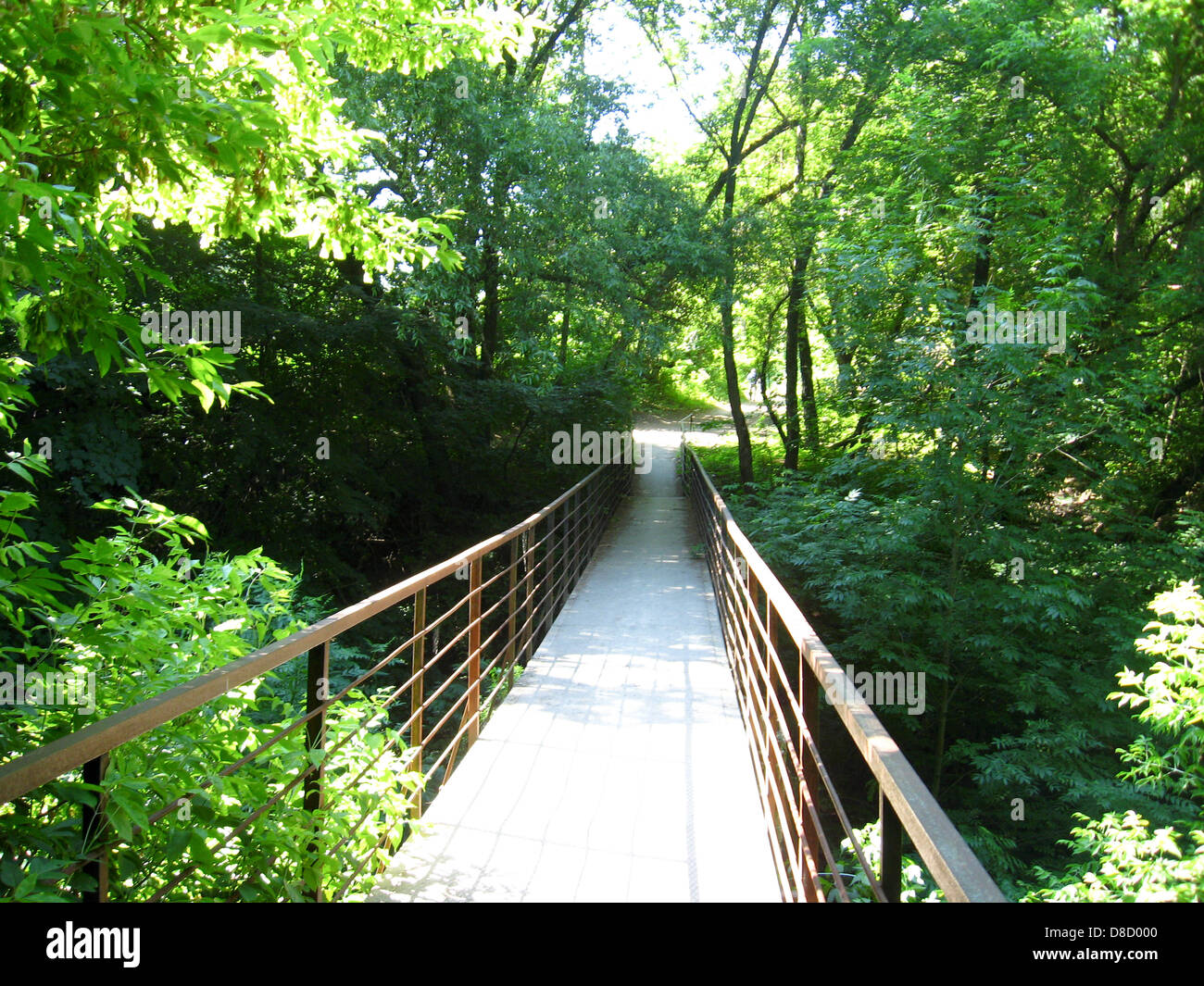 The bridge across ravine in the park Stock Photo - Alamy