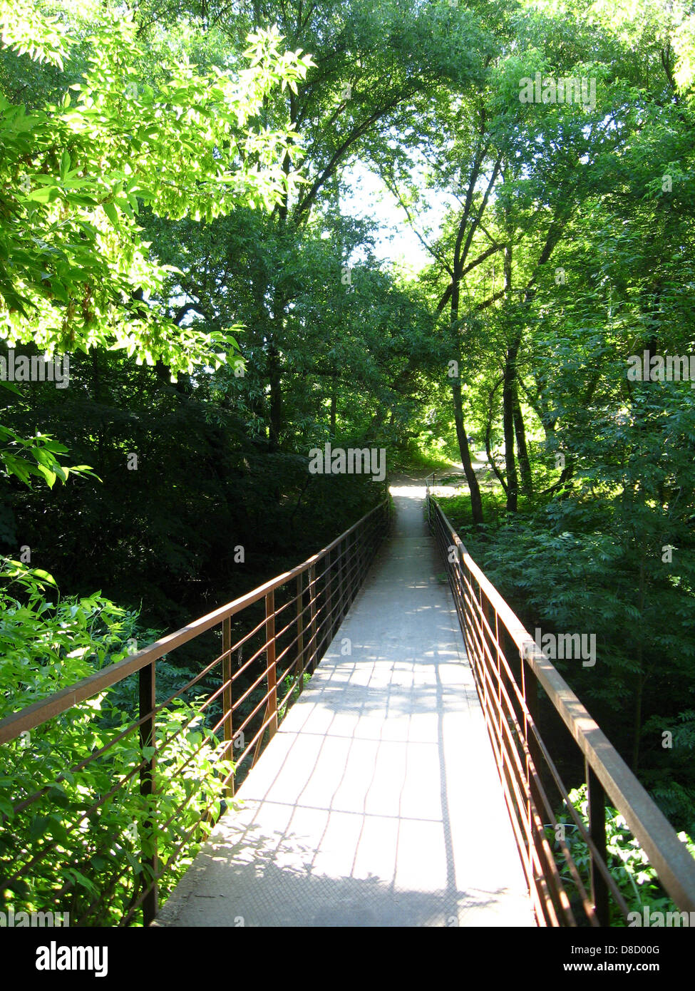 The bridge across ravine in the park Stock Photo - Alamy
