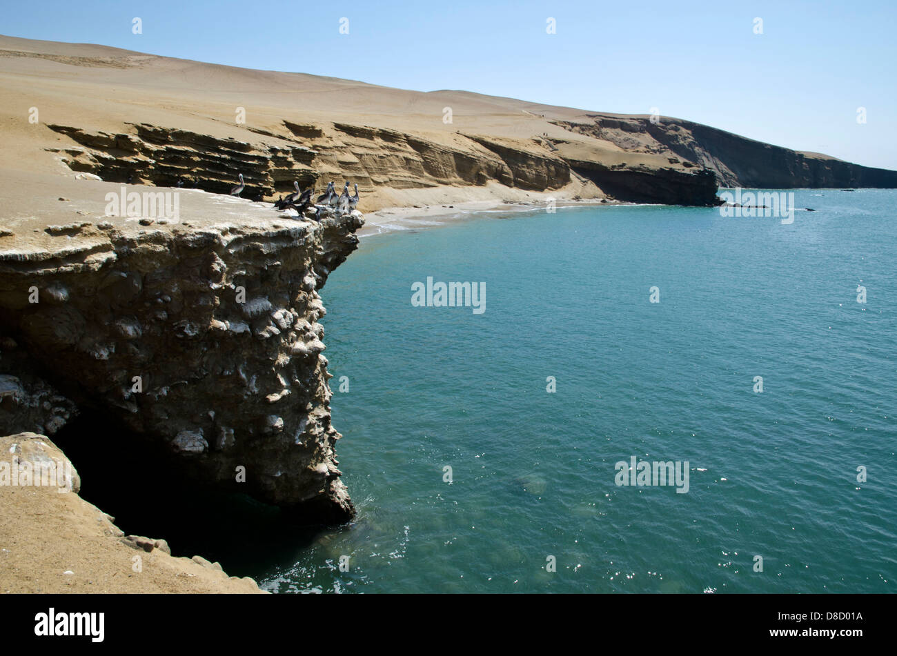 Paracas National reserve. Paracas peninsula Stock Photo - Alamy