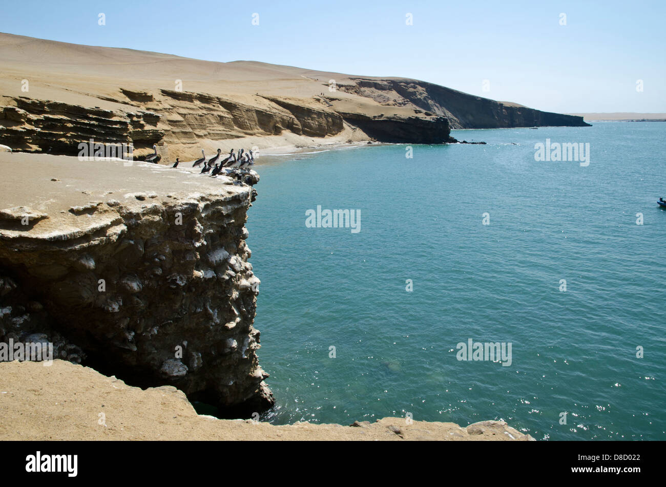 Paracas National reserve. Paracas peninsula Stock Photo - Alamy
