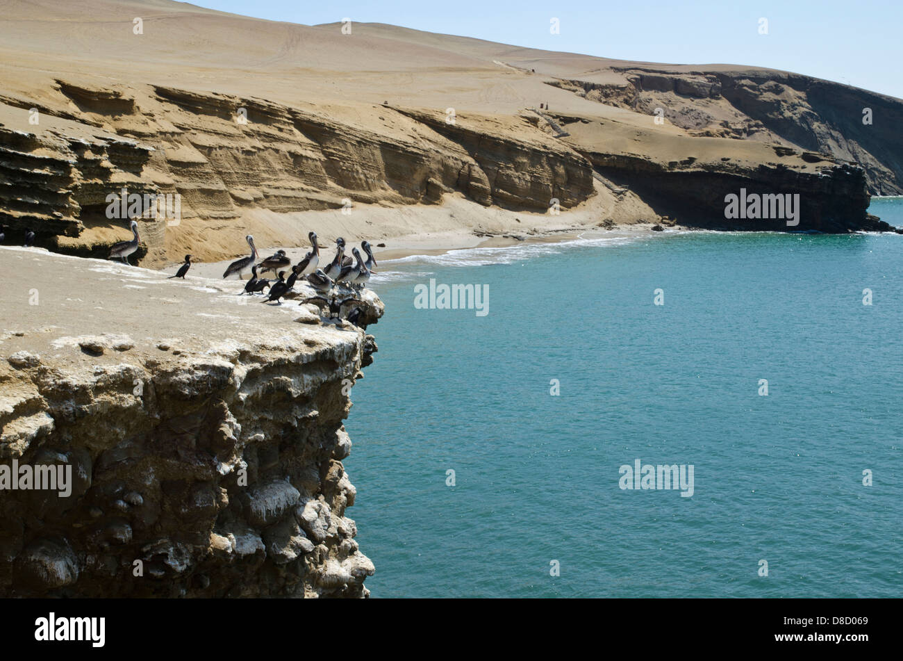 Paracas National reserve. Paracas peninsula Stock Photo - Alamy