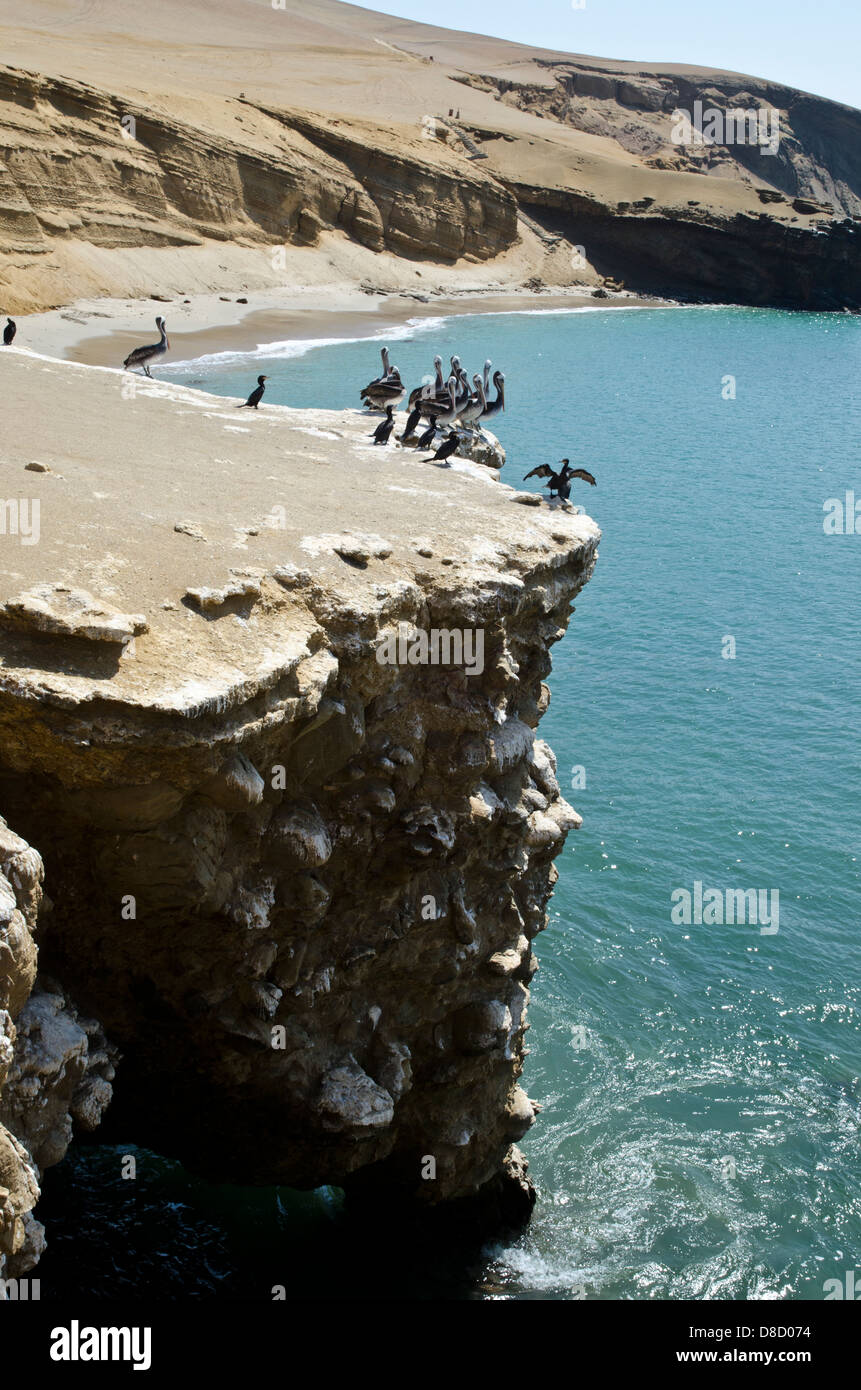 Paracas National reserve. Paracas peninsula Stock Photo - Alamy