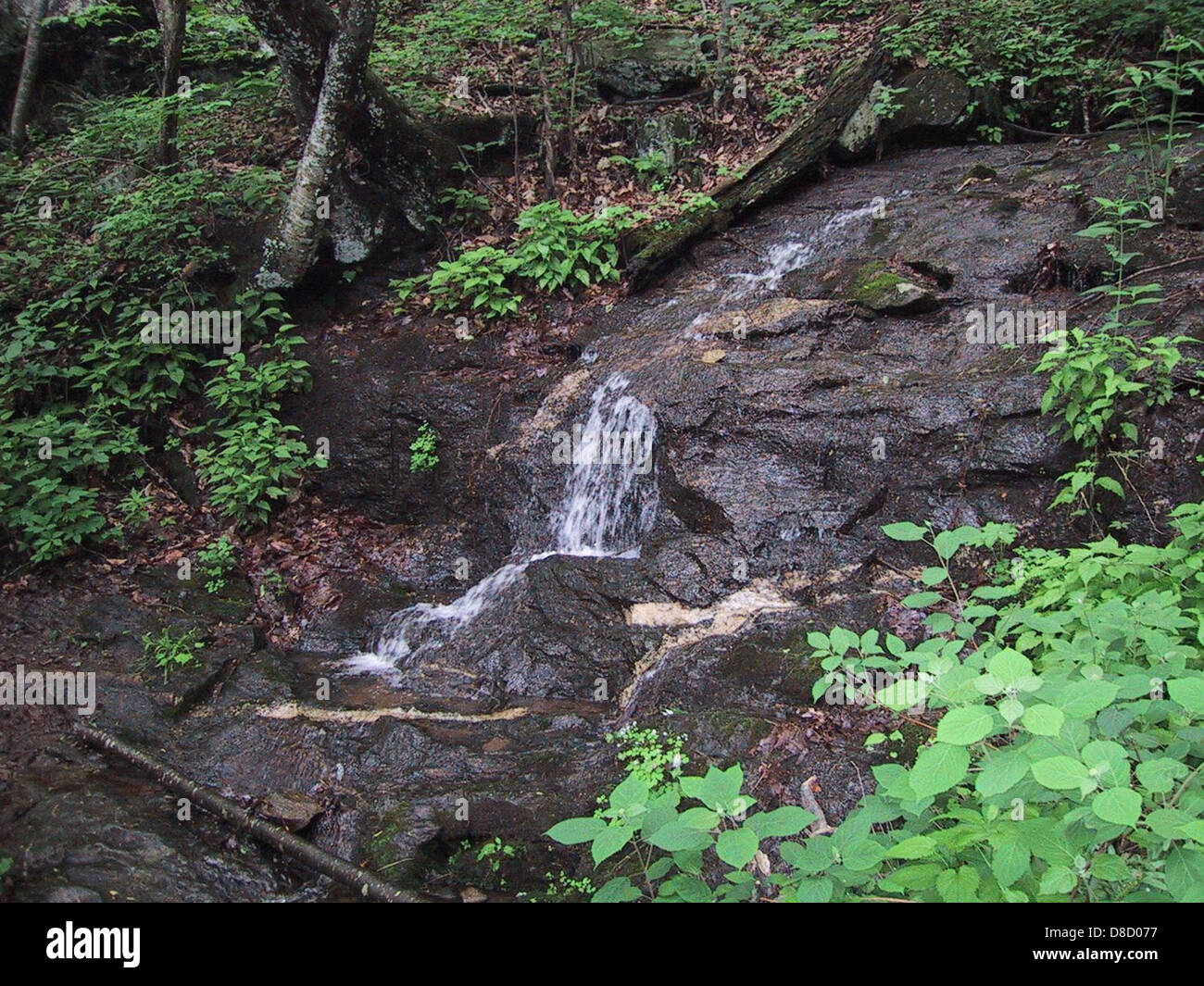 A scenic view of a mountain stream flowing through rocky terrain. The ...