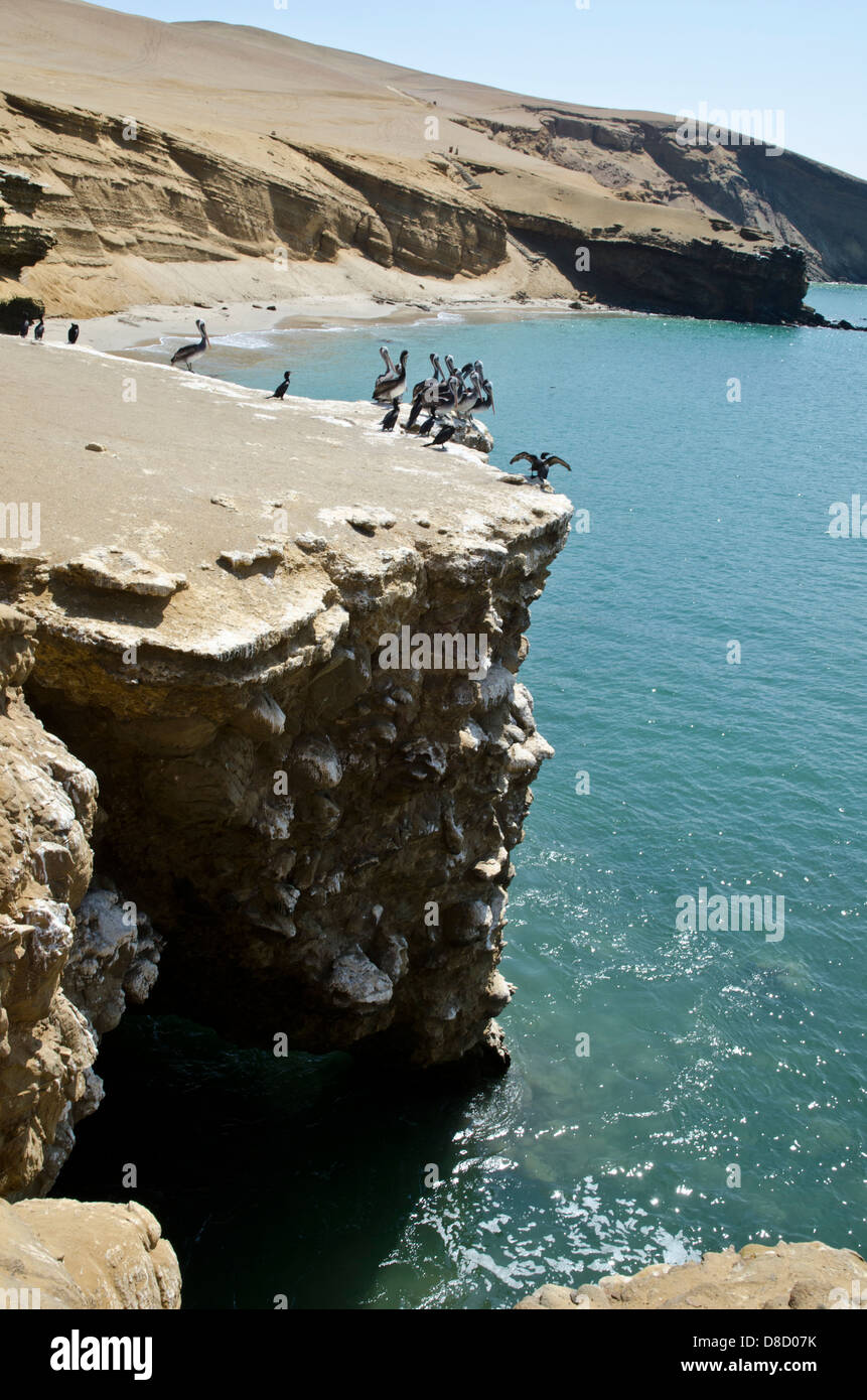 Paracas National reserve. Paracas peninsula Stock Photo - Alamy
