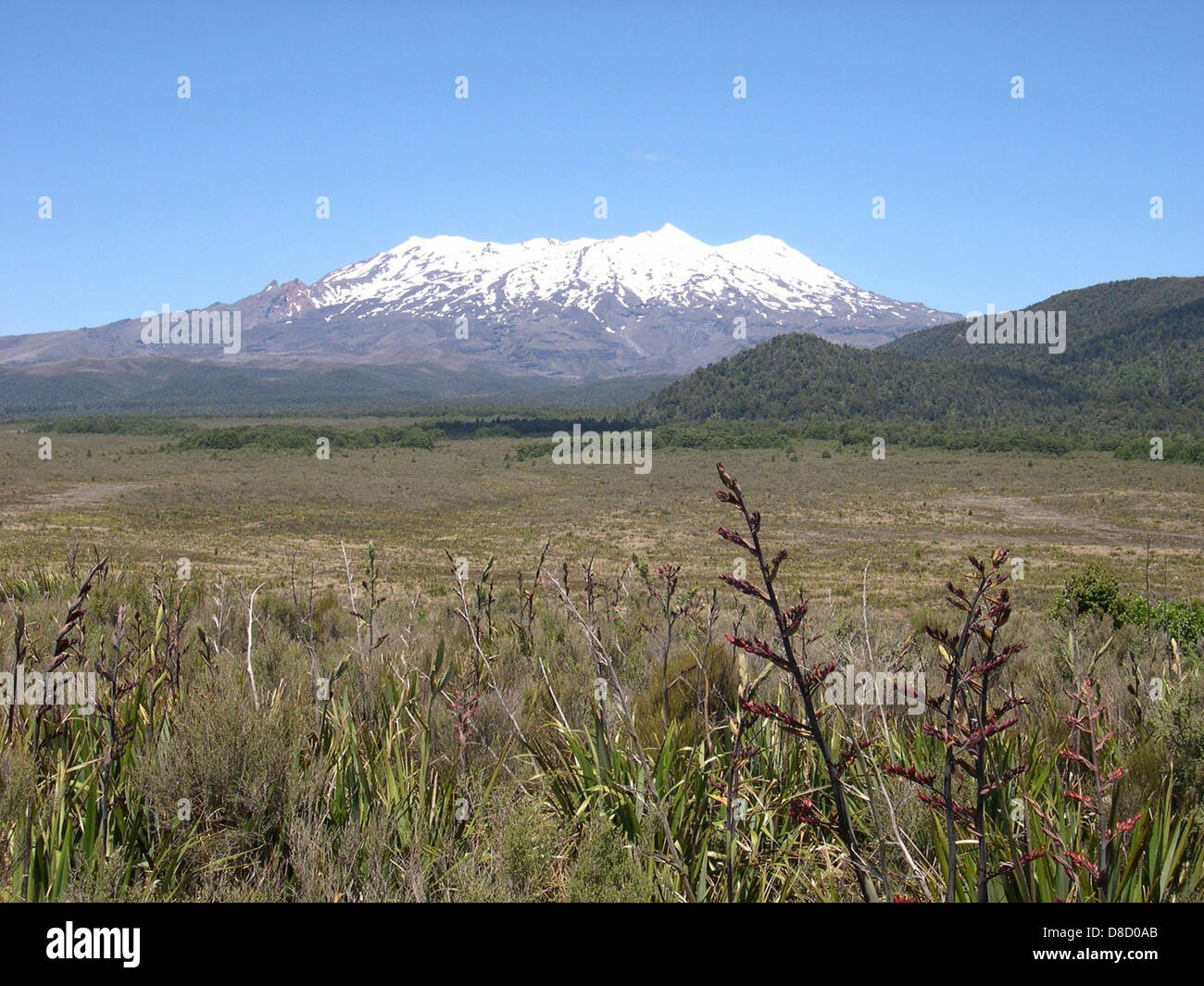 Mount Ruapehu, located in New Zealand, is shown in the summer months ...