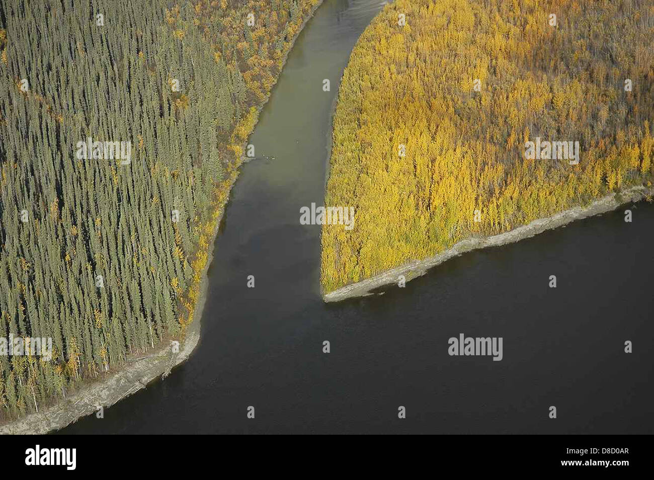The mouth of a river is where it meets a larger body of water, such as ...