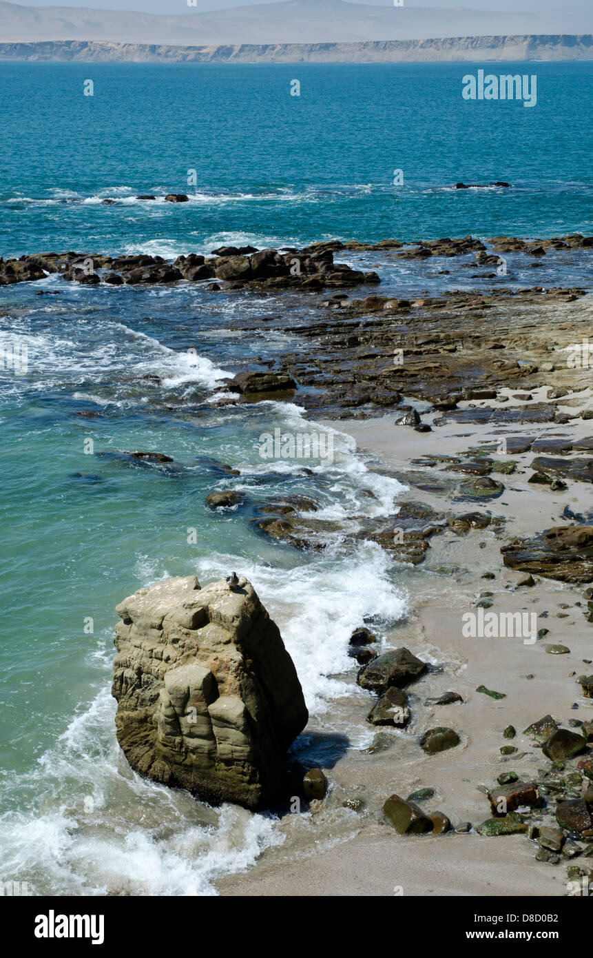 Paracas National reserve. Paracas peninsula Stock Photo - Alamy