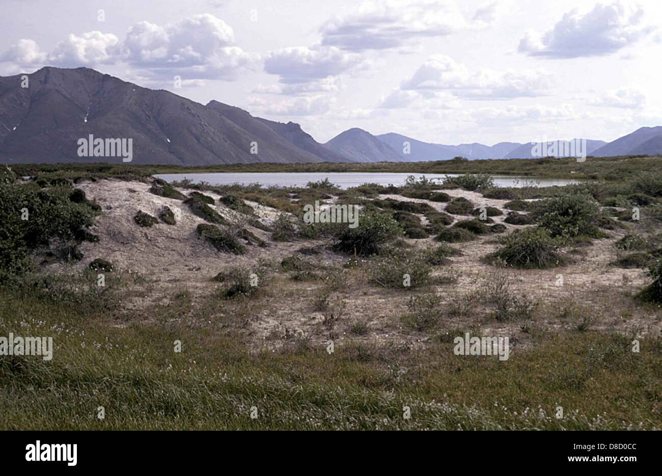 A mud flow area is shown in this image during the summer months ...