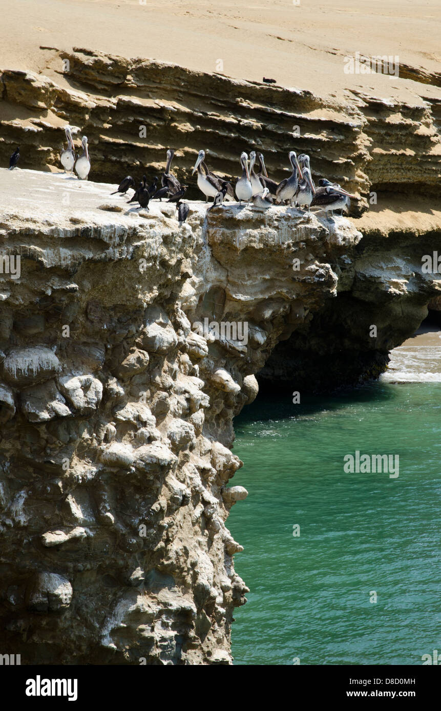 Paracas National reserve. Paracas peninsula Stock Photo - Alamy
