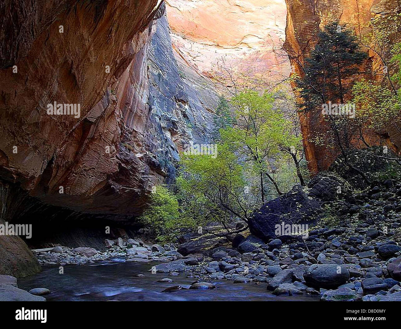 A view of a narrow, winding natural waterway, surrounded by lush ...