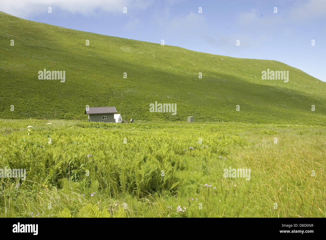 Image shows scenic fields hi-res stock photography and images - Alamy