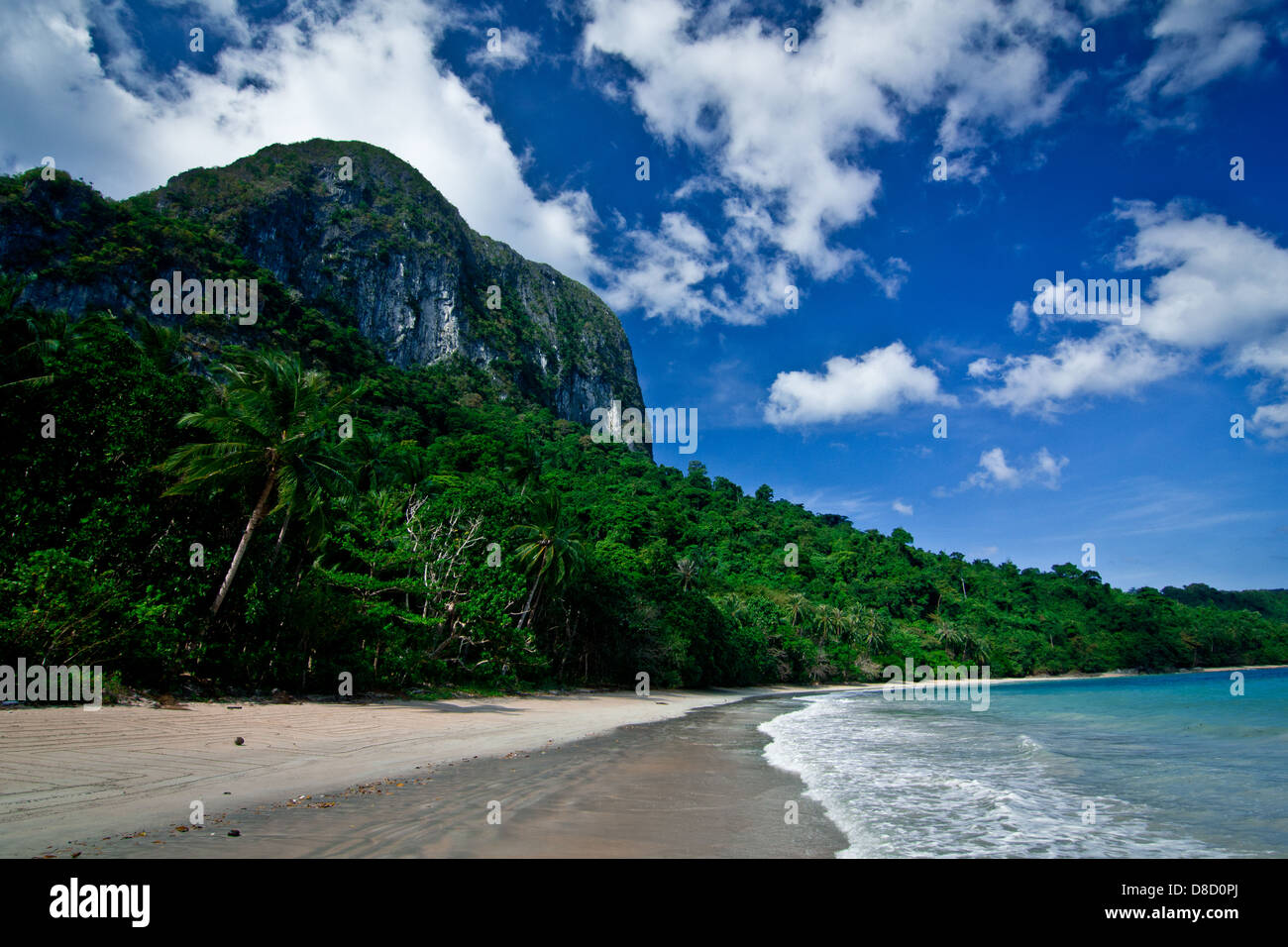 Beach lined with palm tress on remote desert island of the Bascuit ...
