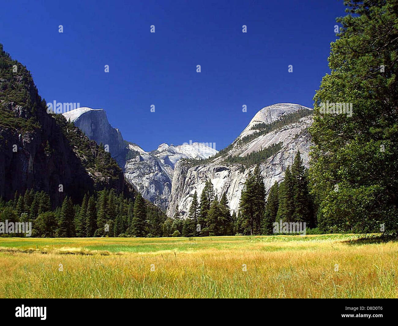 Half Dome, a massive granite formation in Yosemite National Park, rises ...