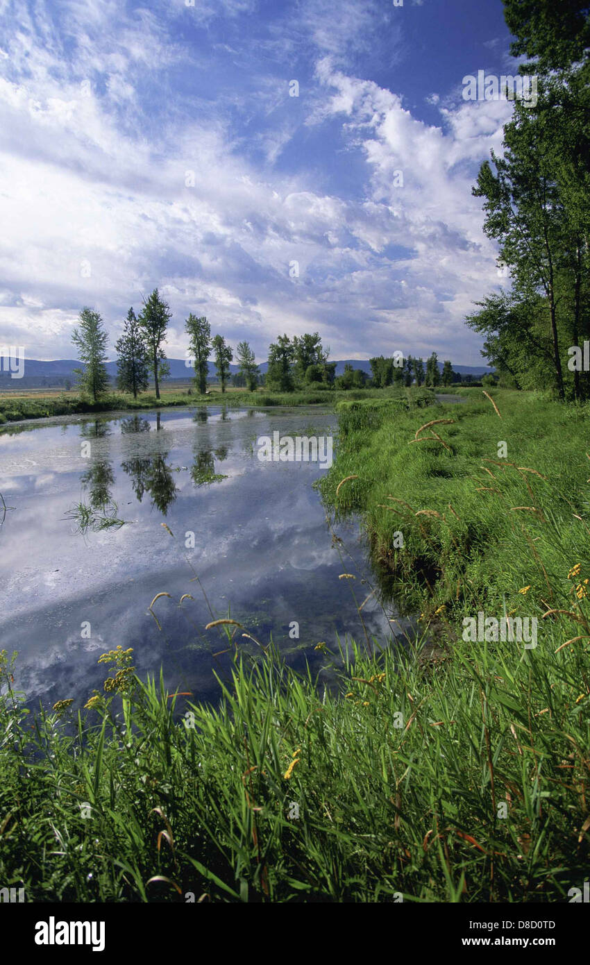 A national reserve landscape photo captures the vast, untouched beauty ...