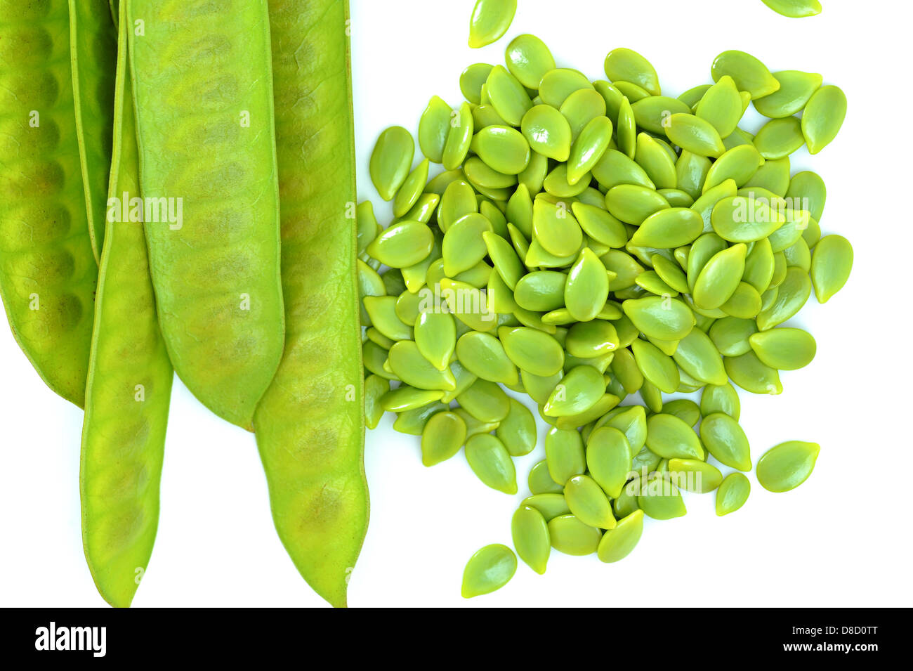 Acacia fruit hi-res stock photography and images - Alamy