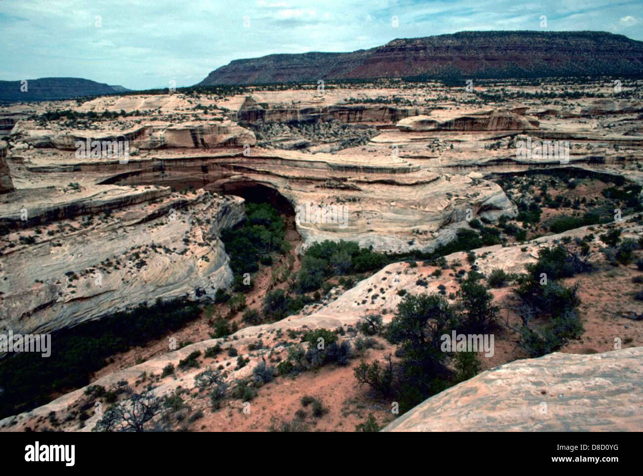 Natural bridges rock formation scenic in national park Stock Photo - Alamy
