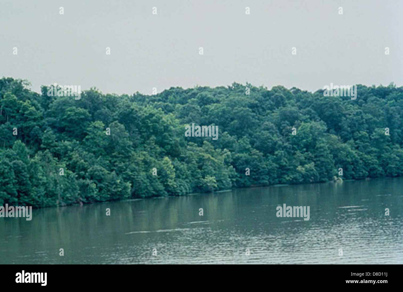 This image shows the Neuse River in North Carolina. The river is a ...