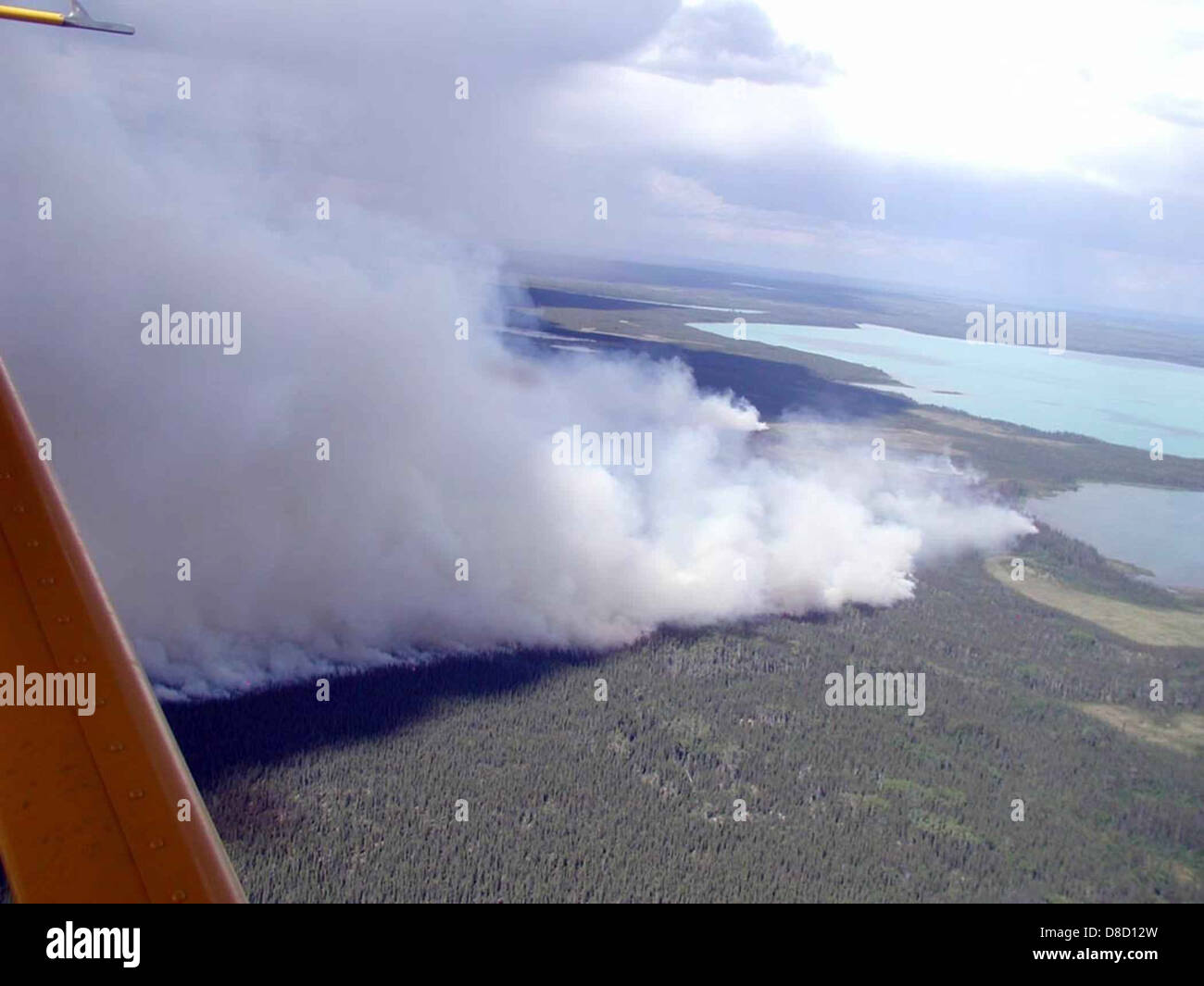 Huge forest fire with smoke near lake Stock Photo - Alamy