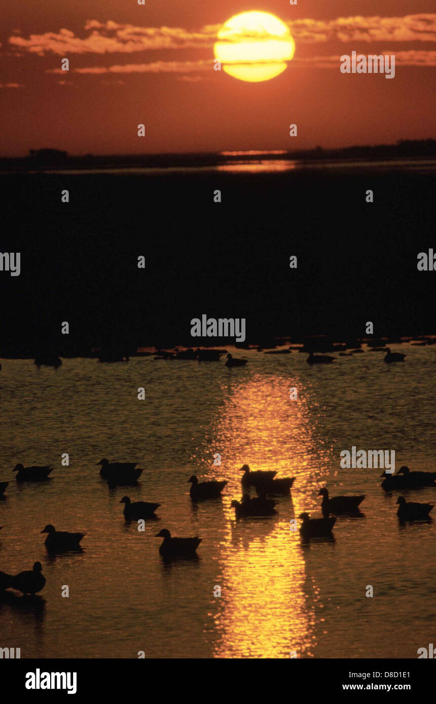 Night falls over the lake, as the calm water reflects the fading light ...