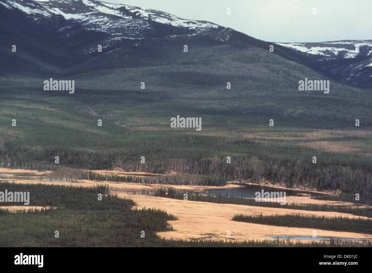 The Nowitna River in Alaska, captured from a scenic perspective. The ...