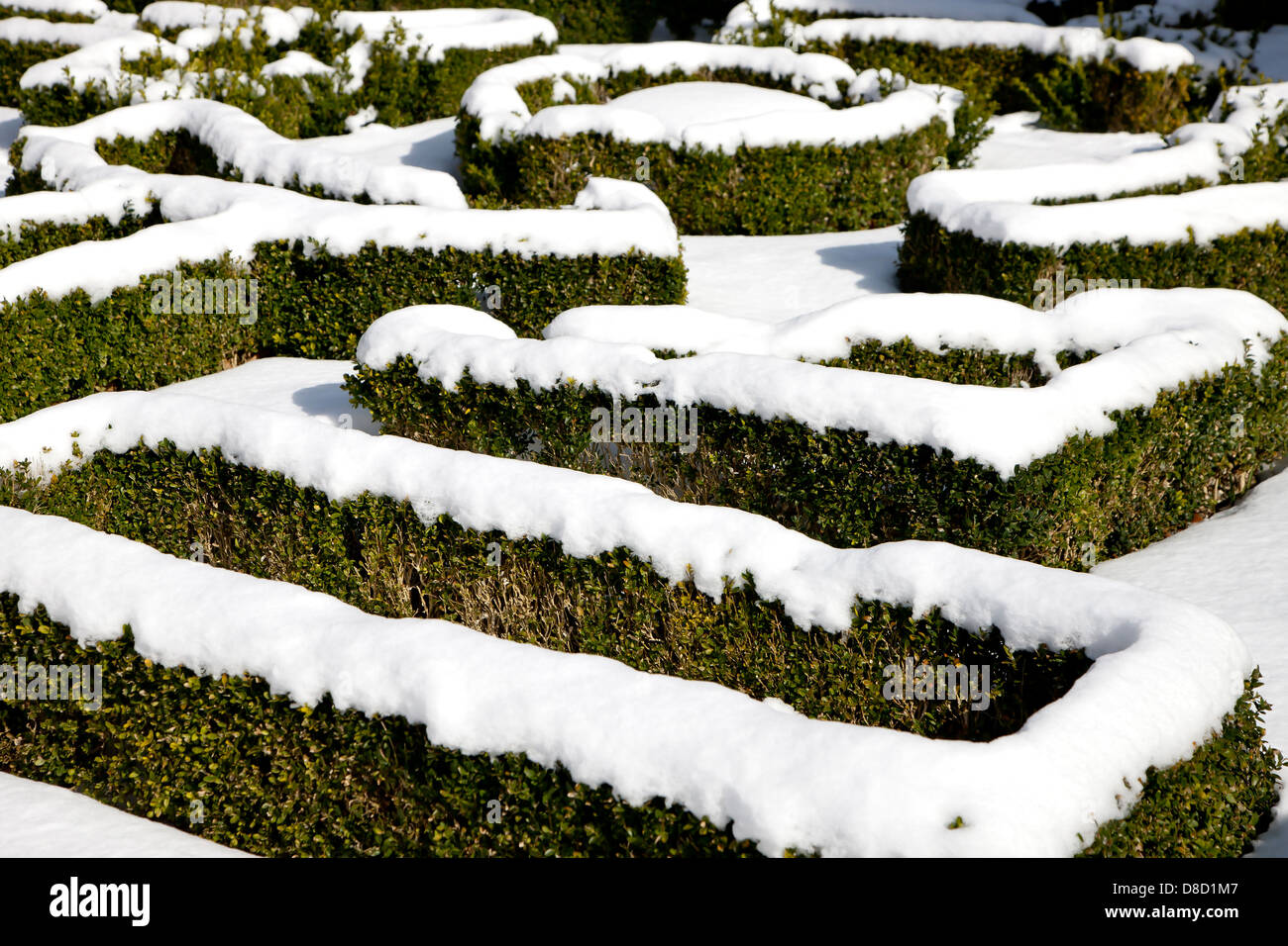 Hedge pattern hi-res stock photography and images - Alamy