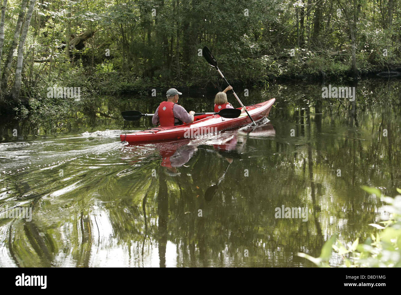 This image shows kayakers paddling on calm water. The clear reflection ...