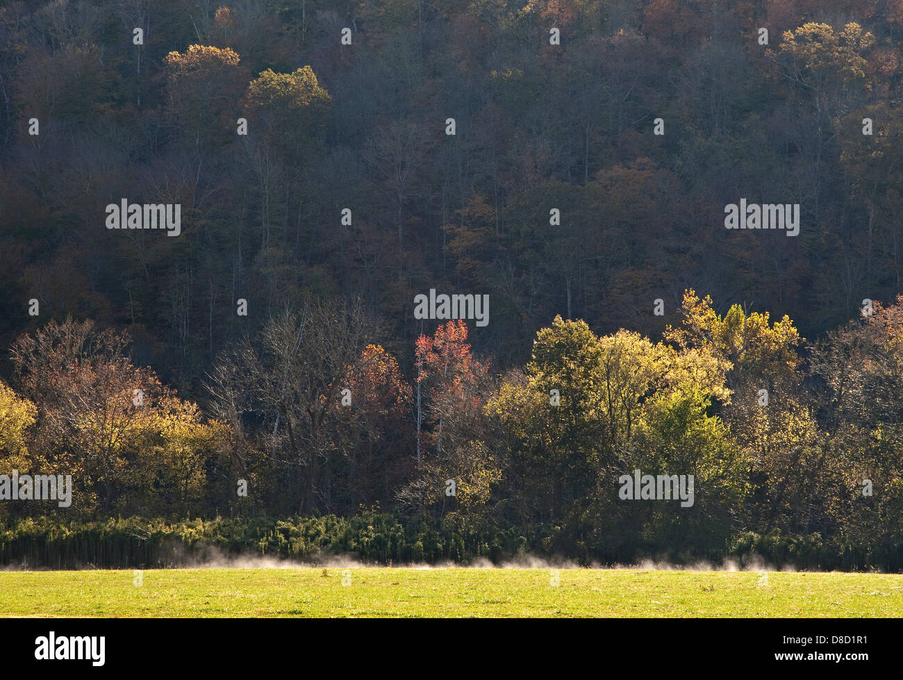 Mist rising from the Buffalo National River, Boxley Valley, Arkansas ...
