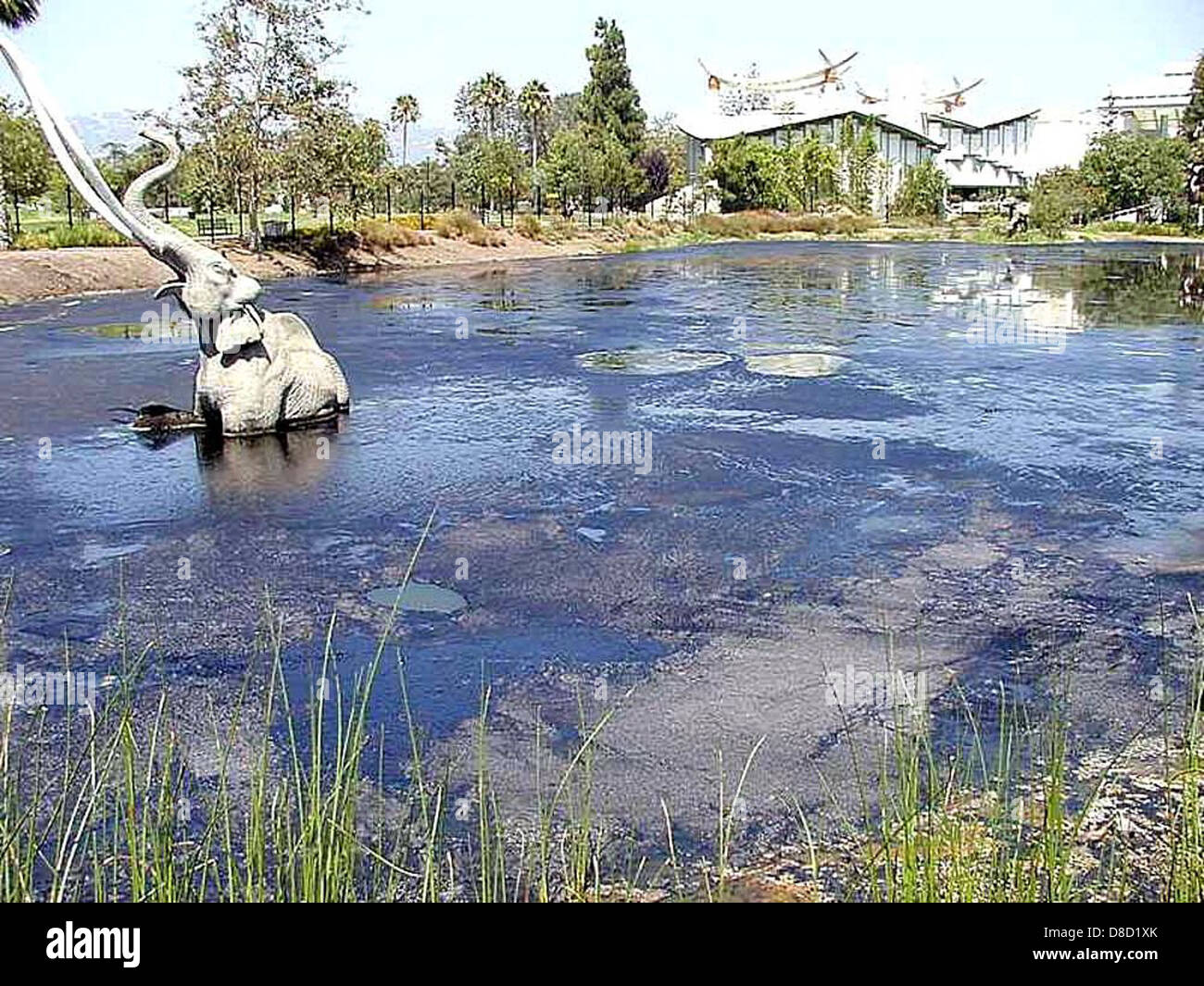 The La Brea Tar Pits In Los Angeles With Its Natural Asphalt Ponds And