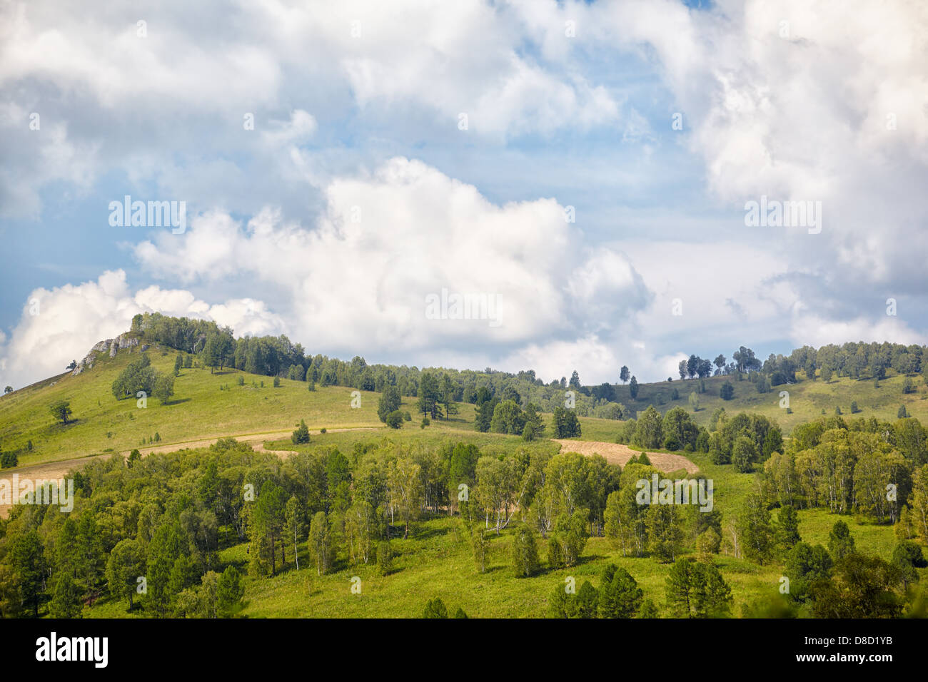 Summer Altai landscape with hills and meadows Stock Photo - Alamy