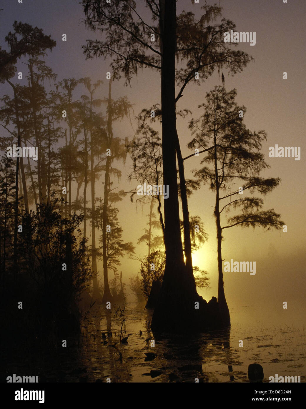 The Okefenokee National Wildlife Refuge in Georgia is a protected ...