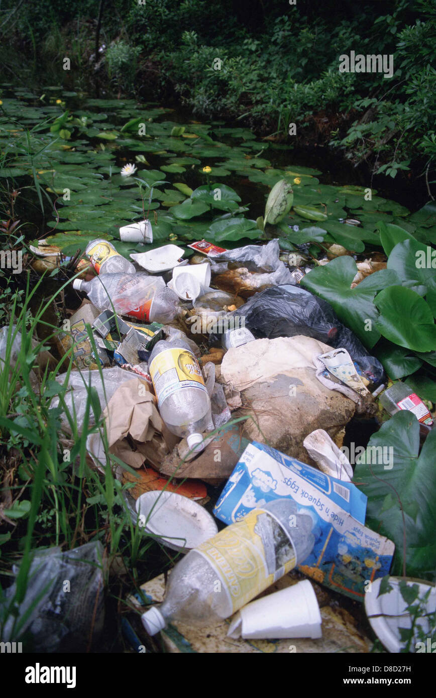 The image shows litter and pollution in a wetland area, highlighting ...