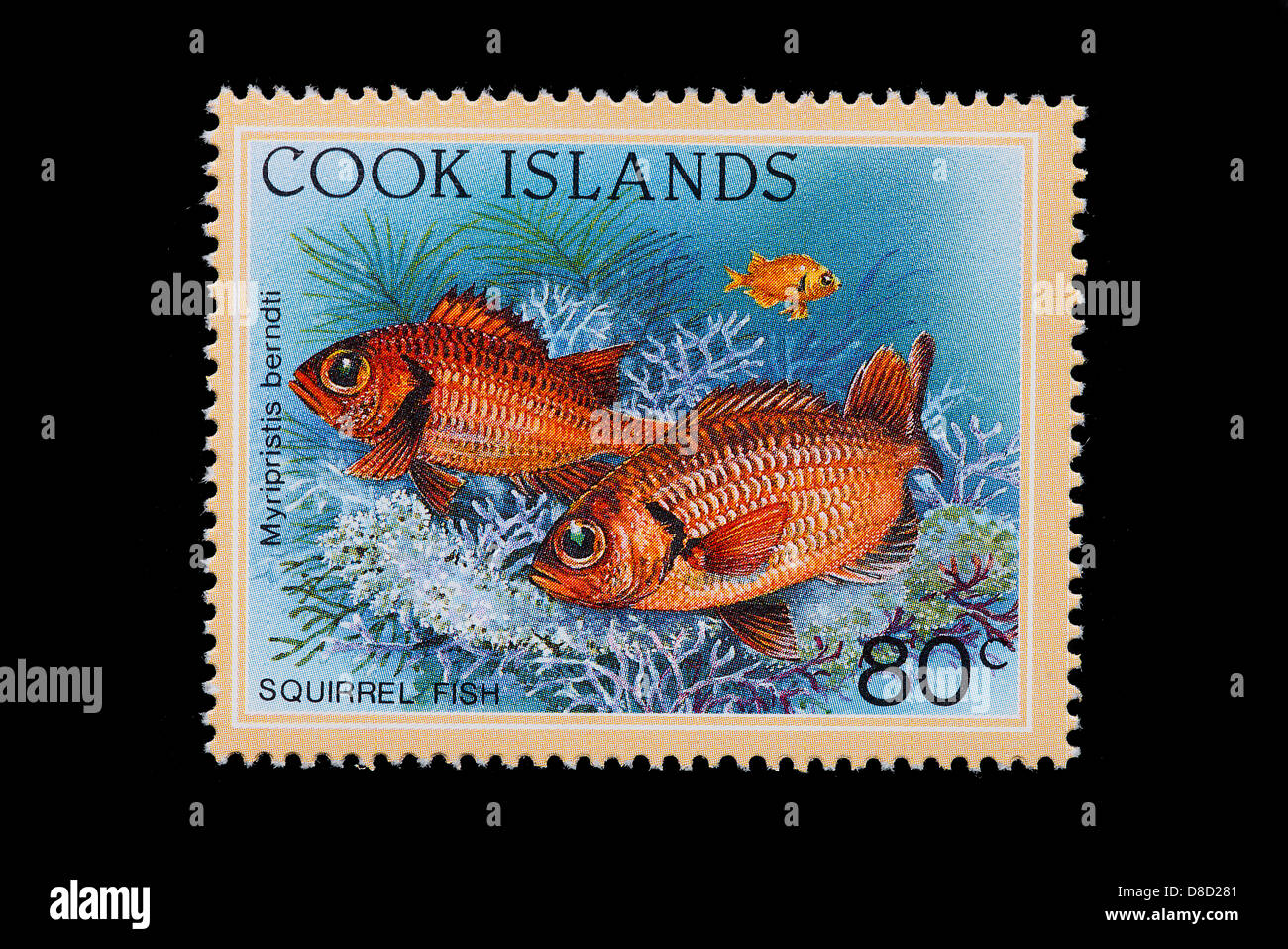 Cook Islands Fish High Resolution Stock Photography and Images - Alamy