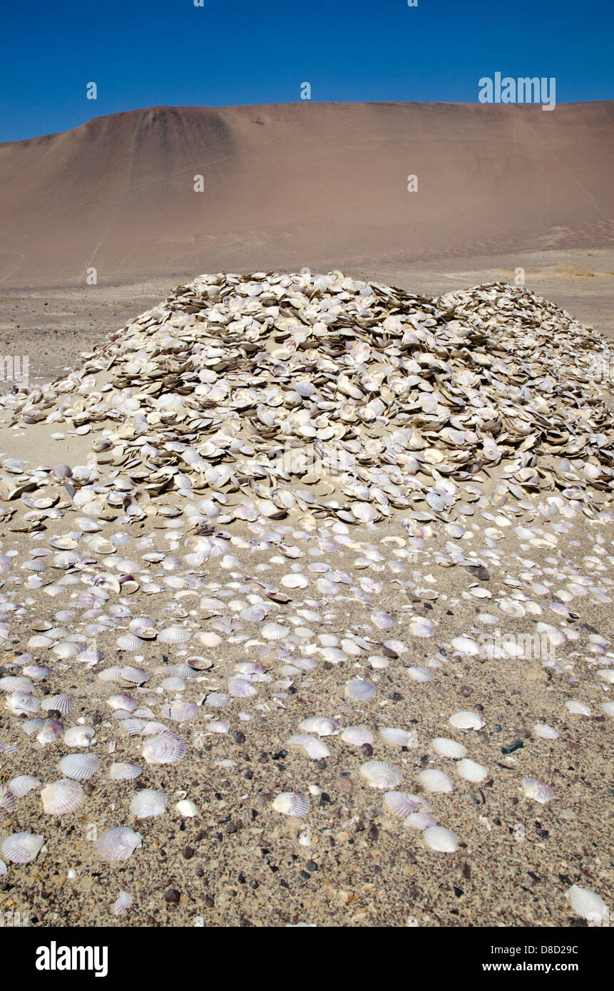 Peru nature reserve paracas hi-res stock photography and images - Alamy