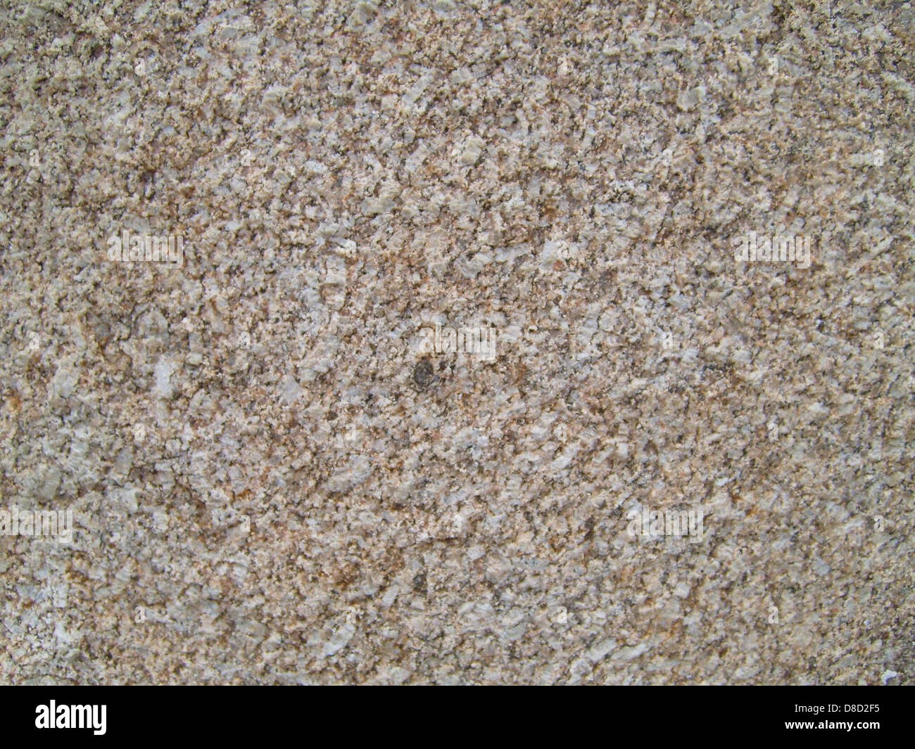 Showcasing unique surface patterns hi-res stock photography and images ...