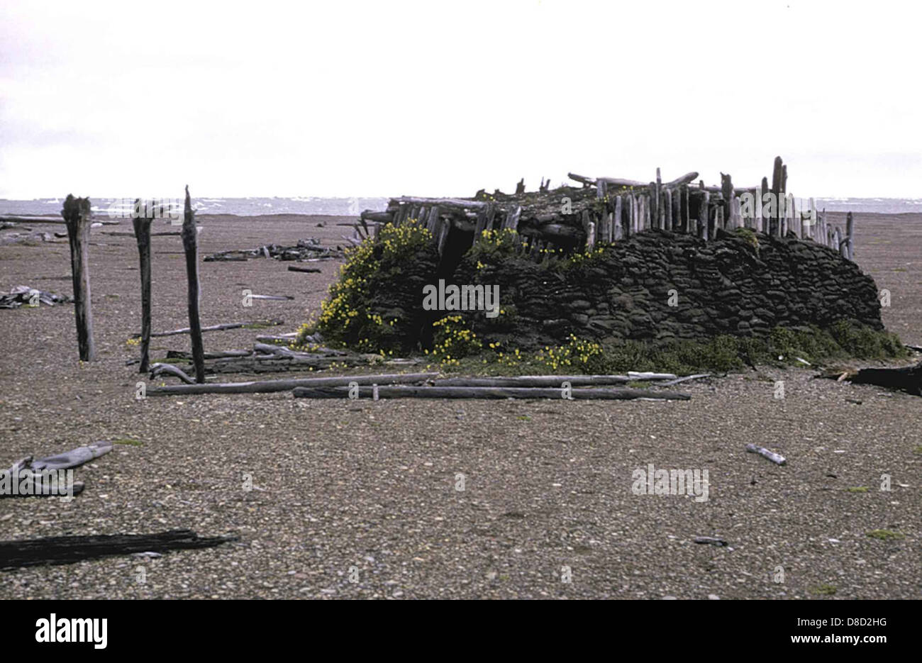 An old sod house with a driftwood frame, reflecting rustic architecture ...