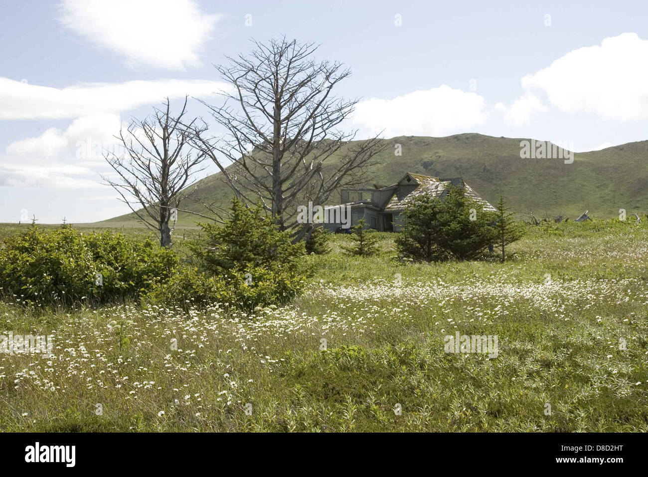 A wide meadow offering scenic views, filled with grasses and ...