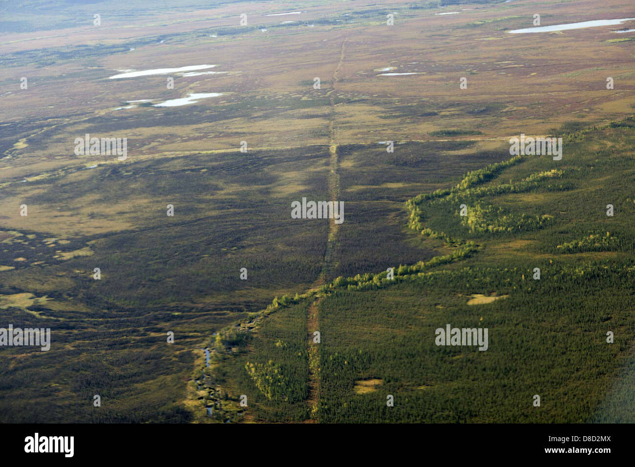 Old winter road on the Kanuti national wildlife refuge Stock Photo - Alamy
