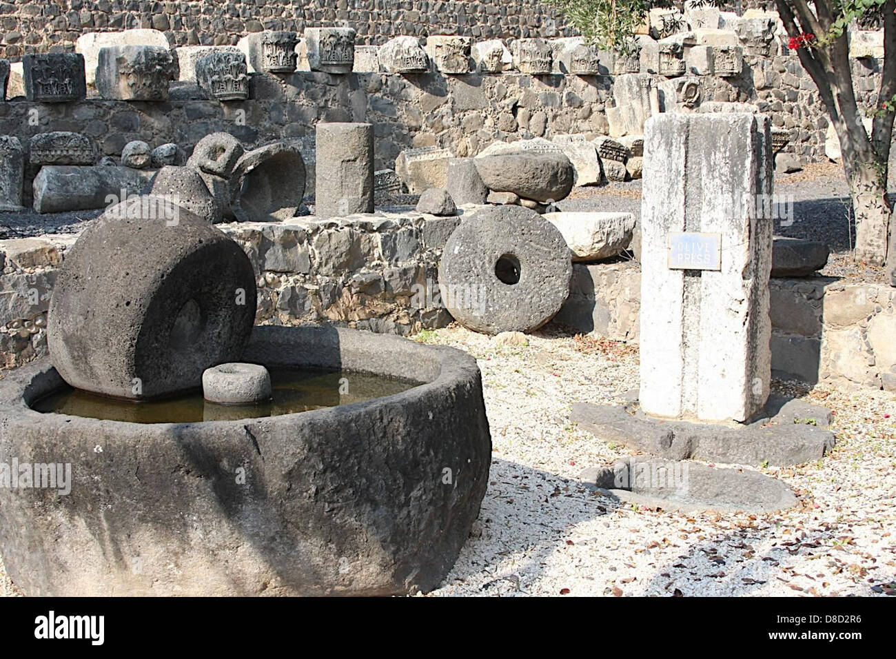 An olive press, a traditional machine used to extract olive oil from ...