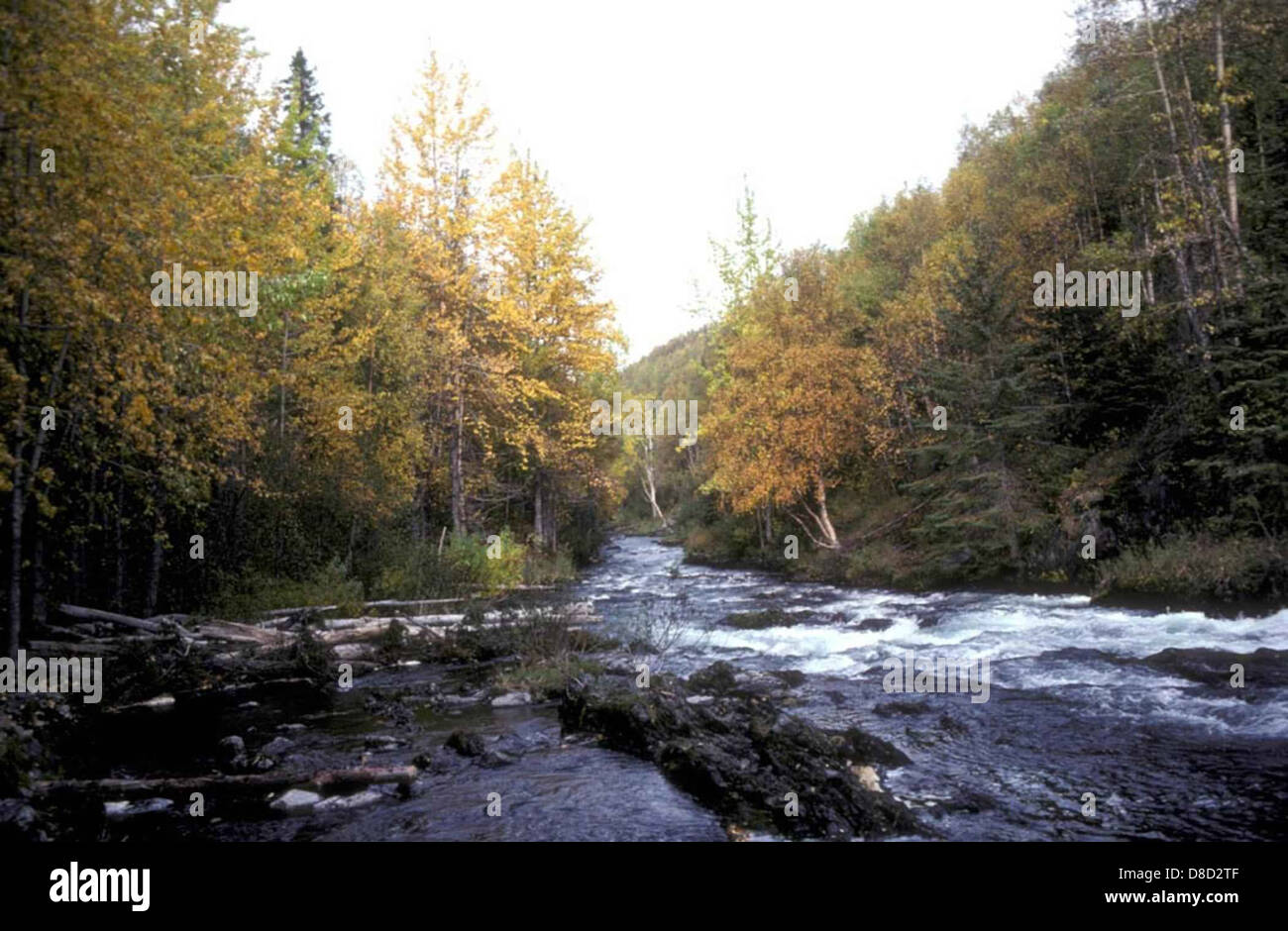 A fast-flowing river with rapid water currents. The image captures the ...