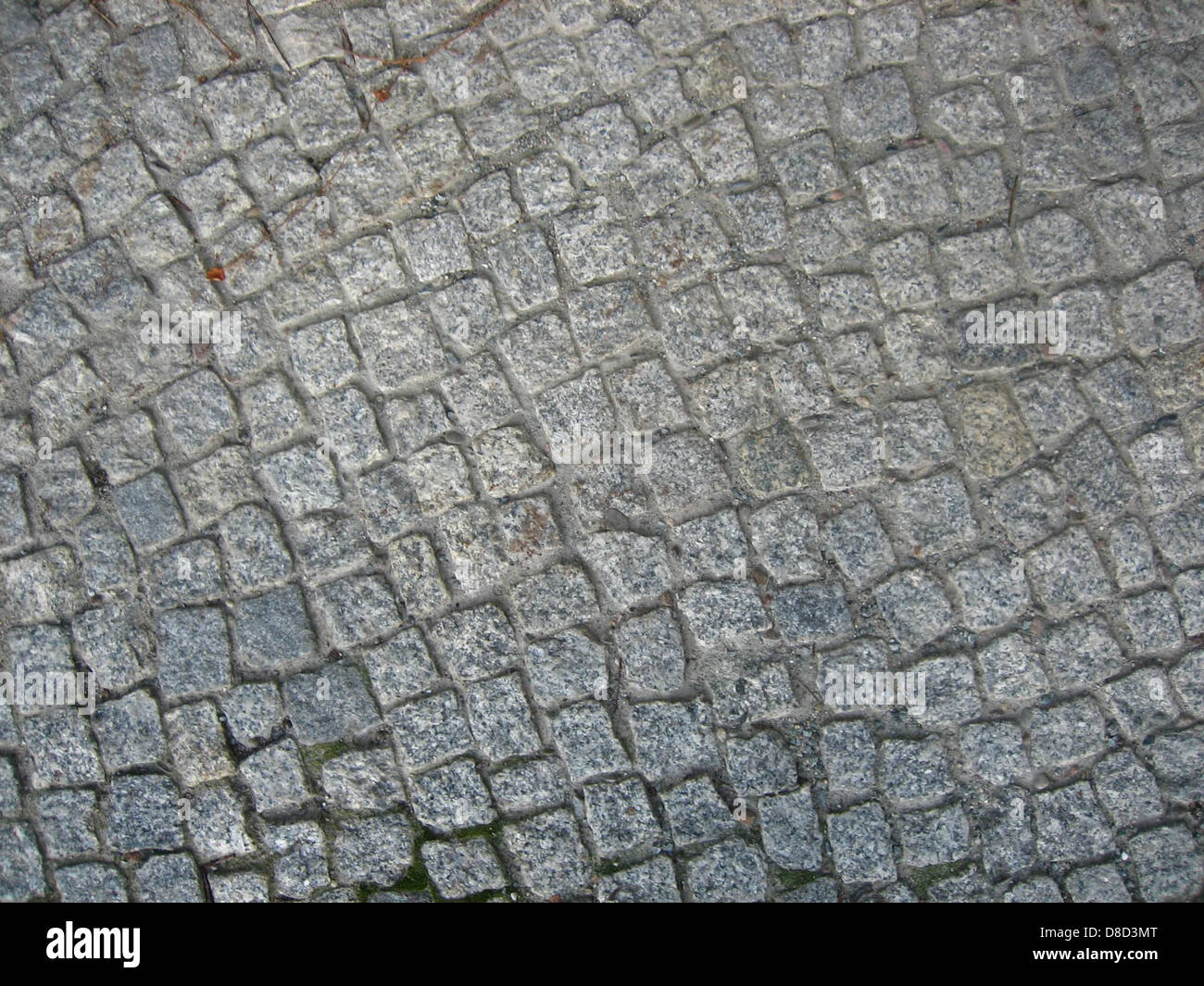 A close-up of a single paving stone, showing its smooth surface and ...