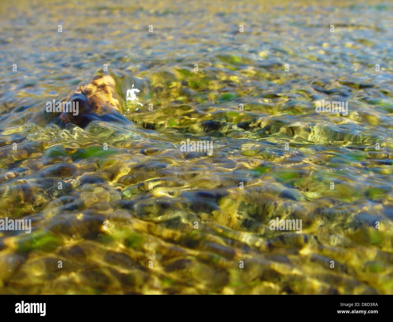 A smooth pebble sits at the bottom of flowing water, showcasing the ...