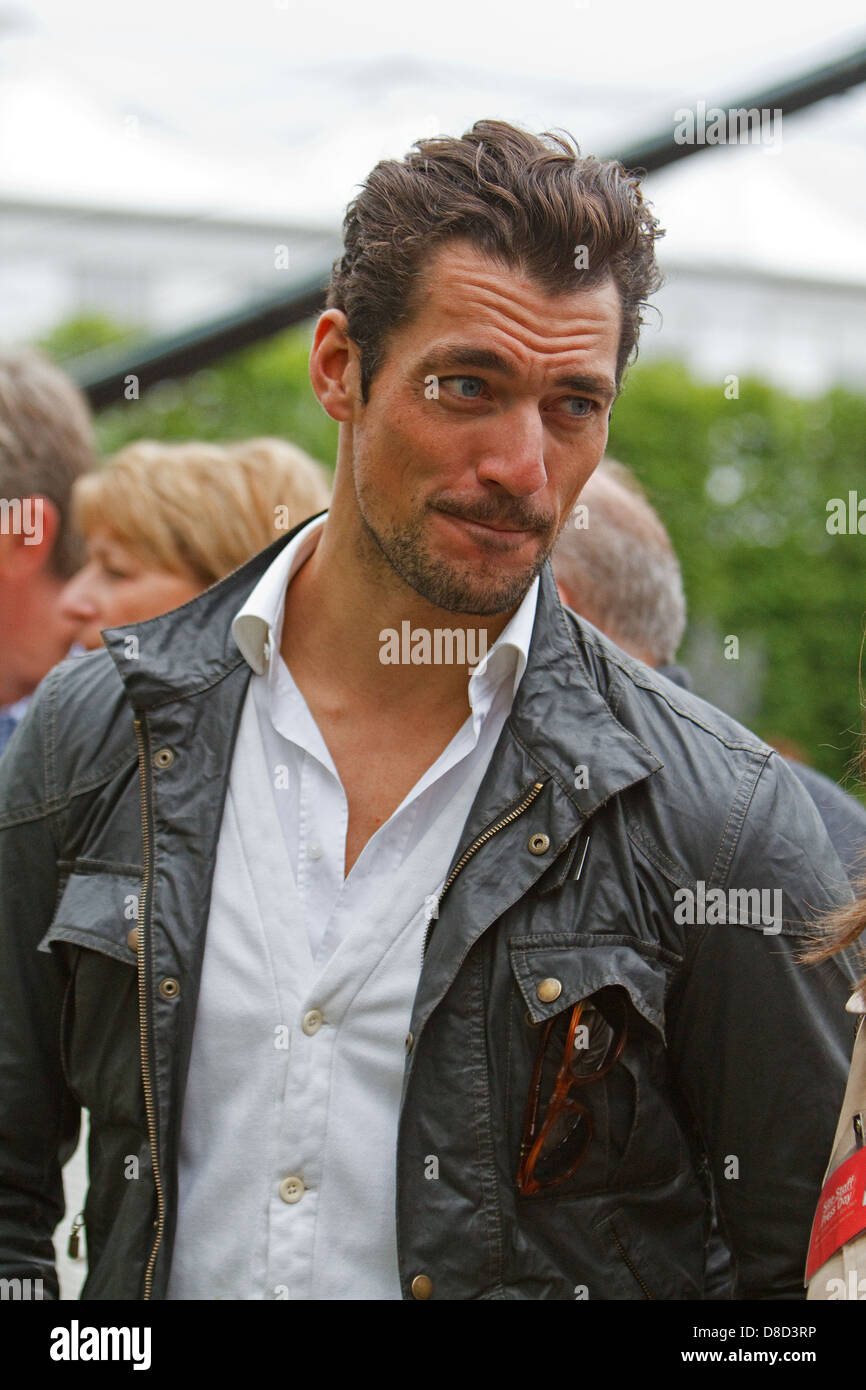 David Khan at the RHS Chelsea Flower show 2013 Stock Photo - Alamy