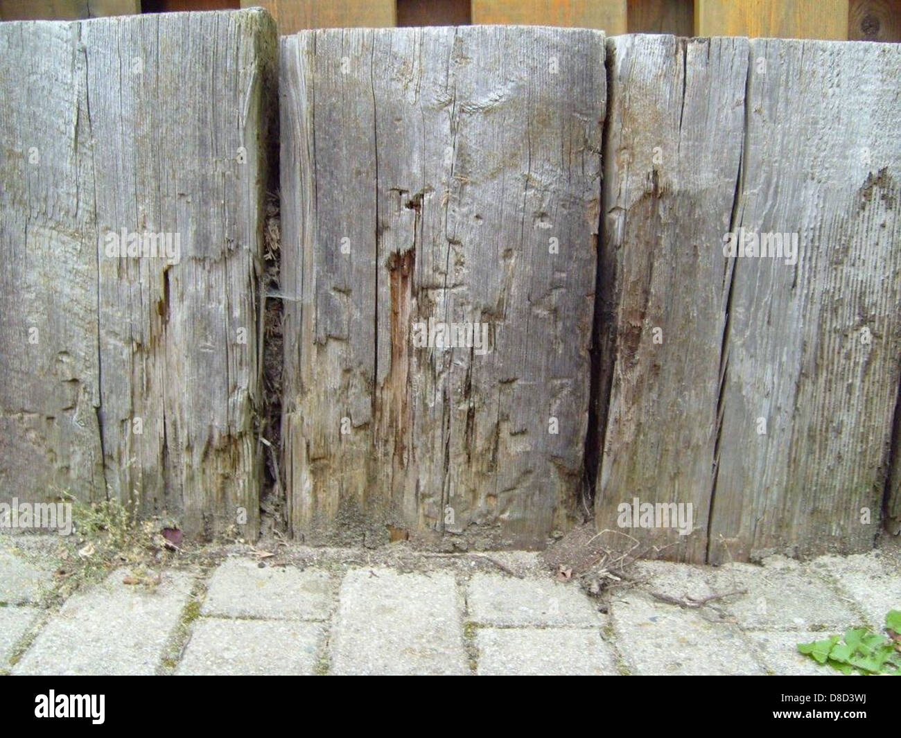 This image shows a piece of old wood, with weathered, textured surfaces ...